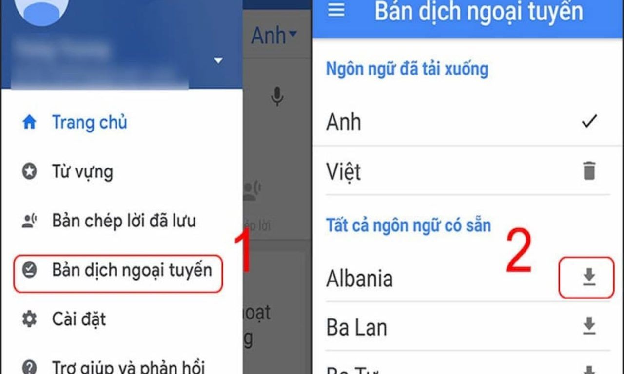 Google Dịch là gì? Cách sử dụng Google Dịch hiệu quả