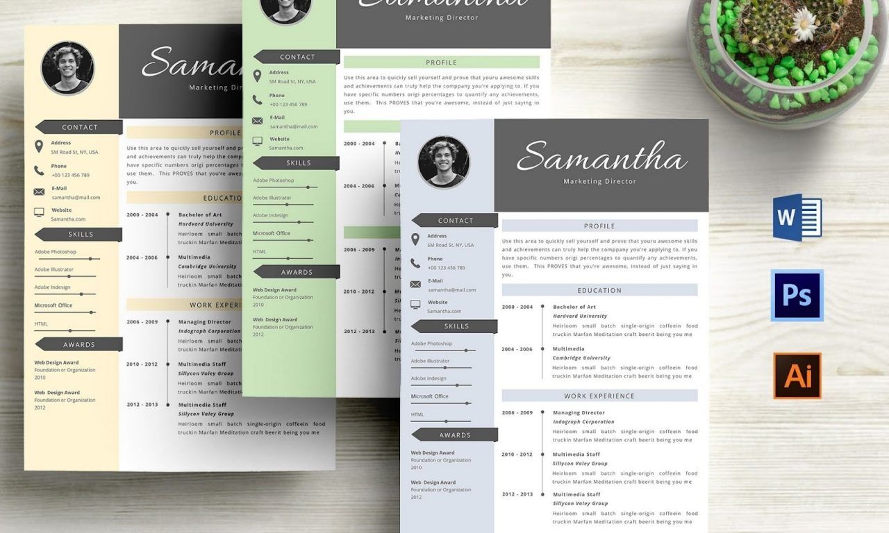 6 Mẫu CV Designer Đẹp Không Thể Bỏ Qua, Mang Đậm Phong Cách Riêng