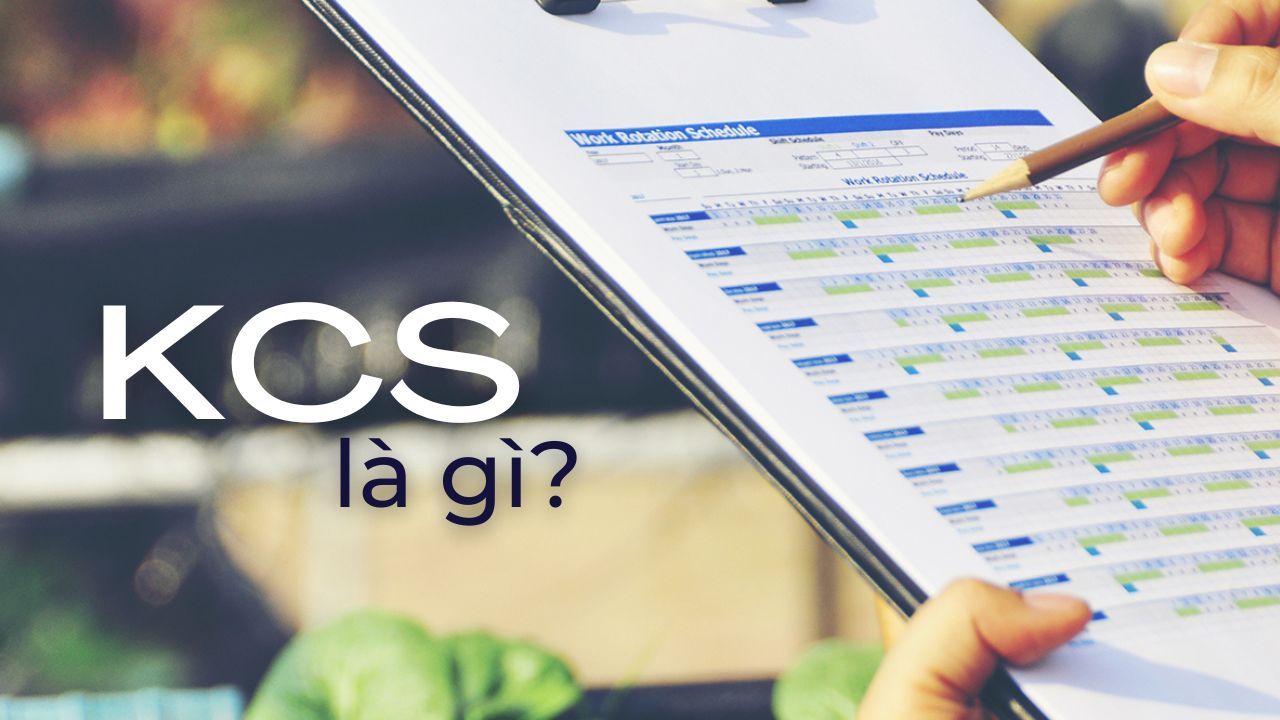 MOU là gì? Khám phá quá trình ký kết MOU trong kinh doanh