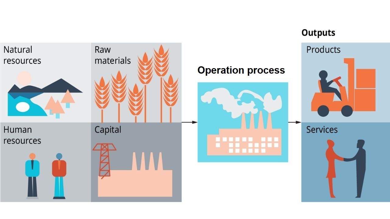 Operation là gì? Những điều cần biết về bộ phận Operation trong doanh ...